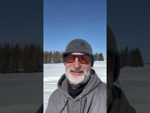 How Much Does A Bull Weigh? - Rich- Farmer