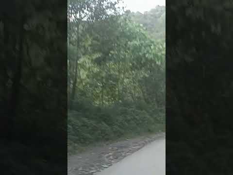 #short video #explorebybike