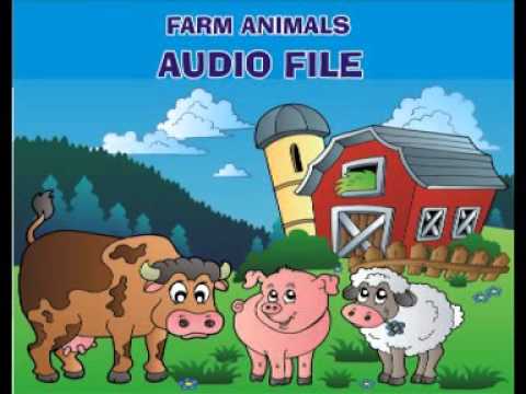 EDUC 8343 – Script: Animal Farm | edutechafrica