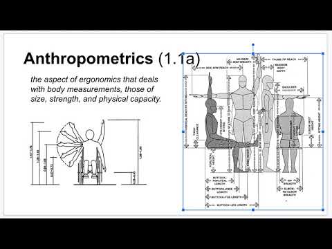 T1 - Anthropometrics 1