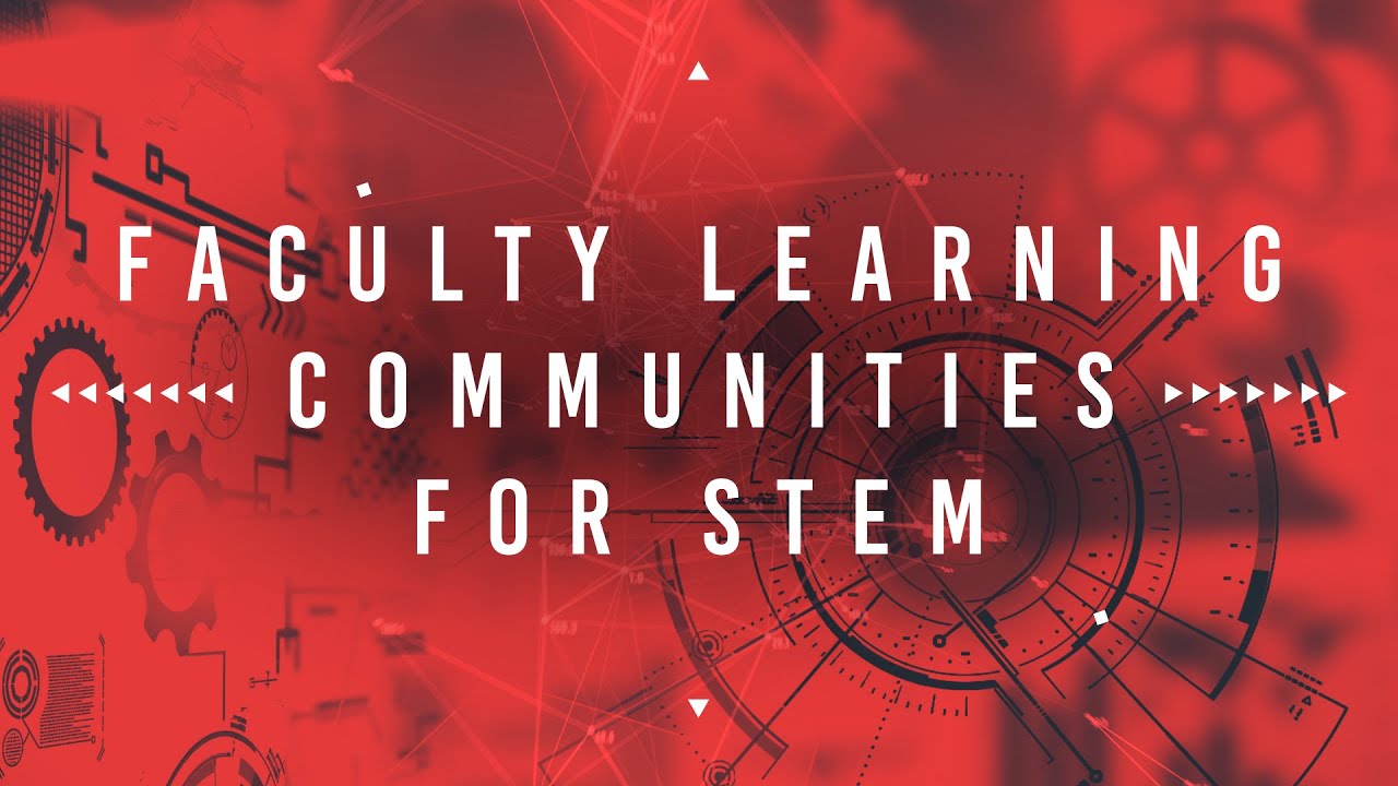 Faculty Learning Communities Innovation Project