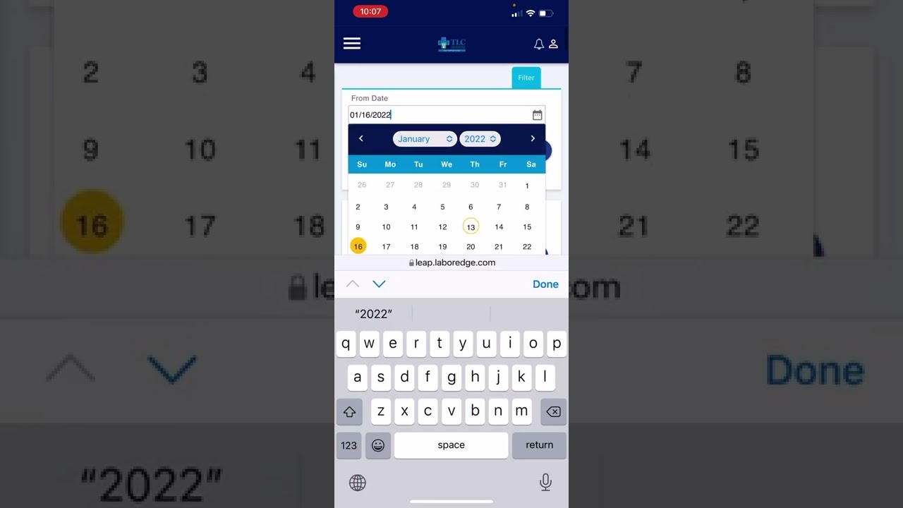 TLC Nursing -  Travel Nursing - How to enter weekly timesheet in LEAP portal