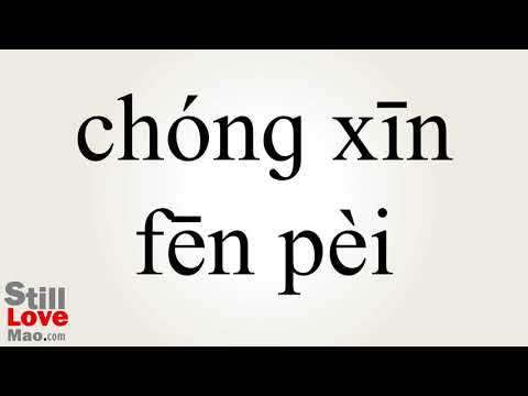 How to Say Reallocate in Chinese