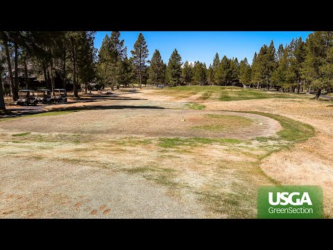 How Golf Courses Can Recover From Winter Injury
