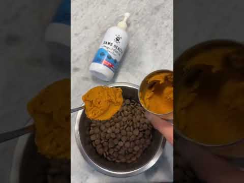 Pumpkin can help dogs with diarrhea and constipation