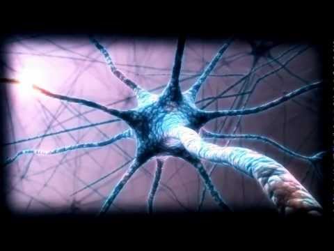The BioCentrism Theory