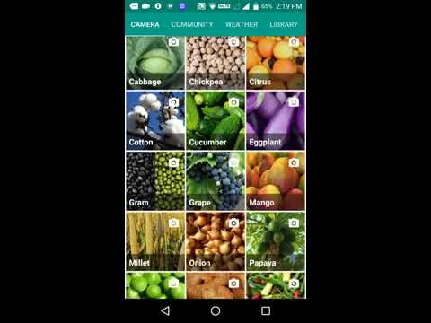 App Review Plantix