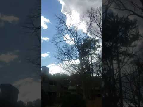 Tornado raleigh nc