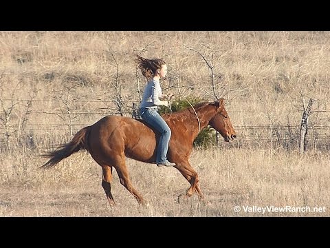 Rips Alano - trailriding bareback with no bridle - Valley View Ranch