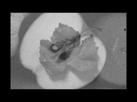 4 Metafisica del vino ENGLISH
