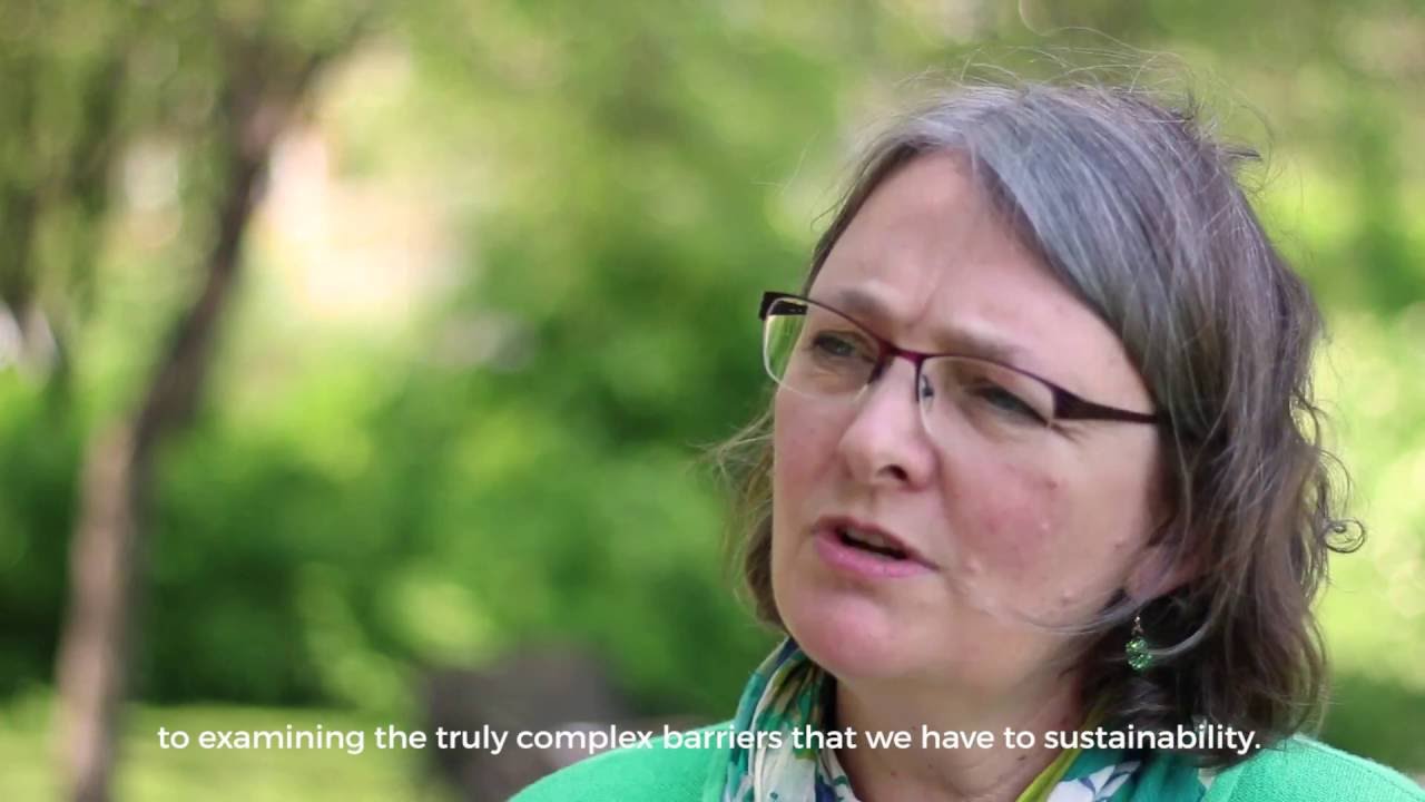 Introducing the International Institute for Sustainable Development