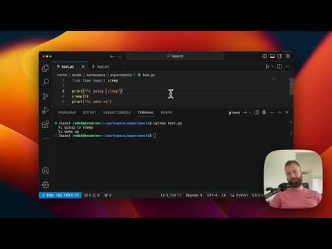 Modifying Running Python vs. Bash Script: What Happens?