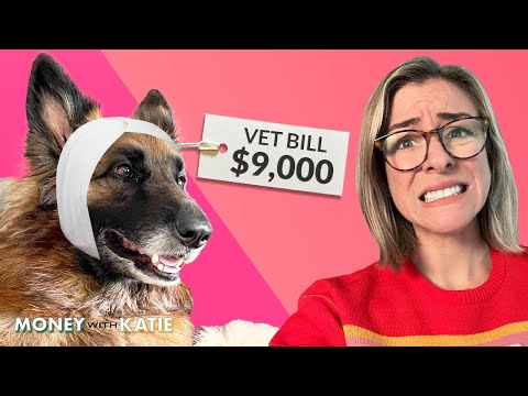 Is Pet Insurance A Scam?