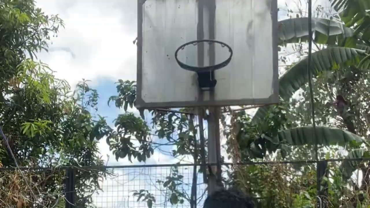 The Concept of Projectile Motion (Physics Performance Task Breakthrough Junior Challenge 2023)