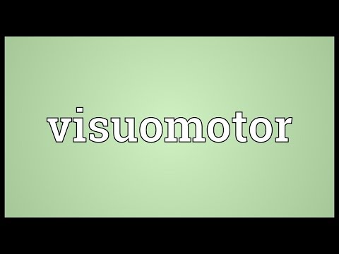 Visuomotor Meaning
