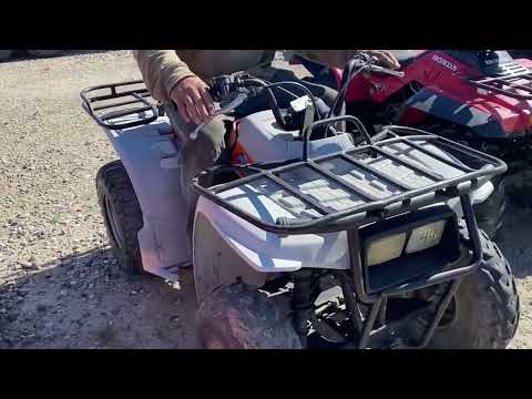 1993 YAMAHA TIMBERWOLF YFB250 ATV - Wild Rose Auction Services