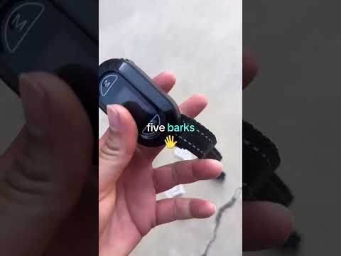 Bark Collar for Large & Medium Dogs