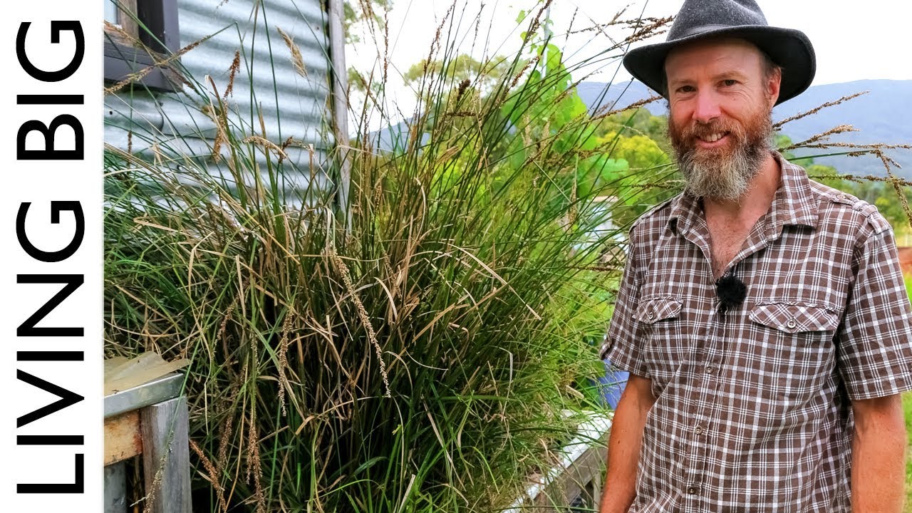 Simple Permaculture-Based Grey-Water Treatment System