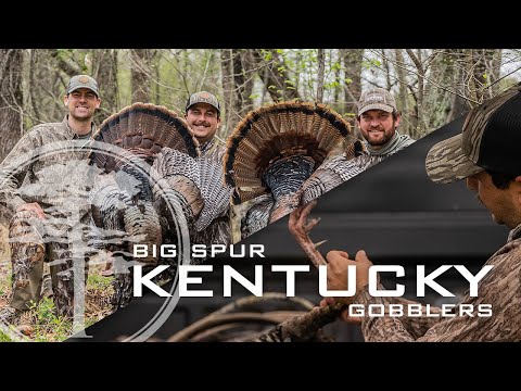 Turkey Hunting- A WILD Kentucky Turkey Season Opener!
