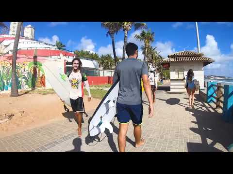 FEELING BOARDS | NATALFREESURF