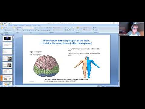 NPN 140: Neuro Overview