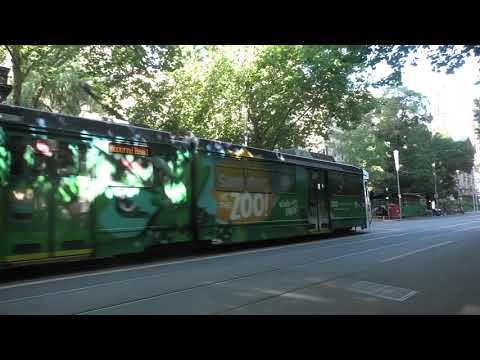 Zoos Victoria tram B 2064