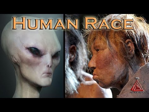 Best Documentary 2017 PBS Nova Documentary Collection: DNA - Episode 4 of 5 - The Human Race