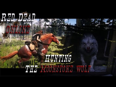 Steam Community :: Video :: Red Dead Online - Hunting The Moonstone Wolf