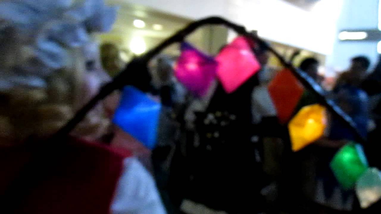 Flandre's Wings (Ohayocon 2k13)