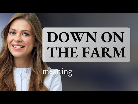 Understanding "Down on the Farm": A Guide for English Learners