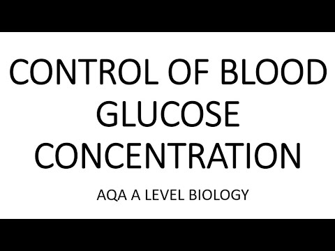 CONTROL OF BLOOD GLUCOSE CONCENTRATION - AQA A LEVEL BIOLOGY + EXAM QUESTIONS RUN THROUGH