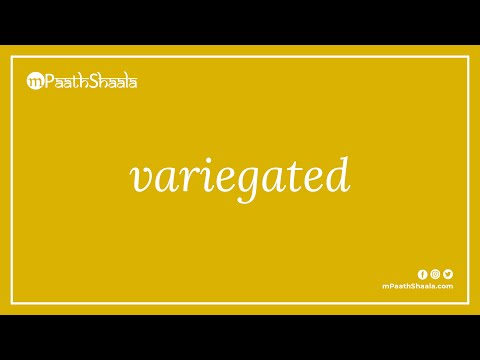 variegated | Pronunciation in English