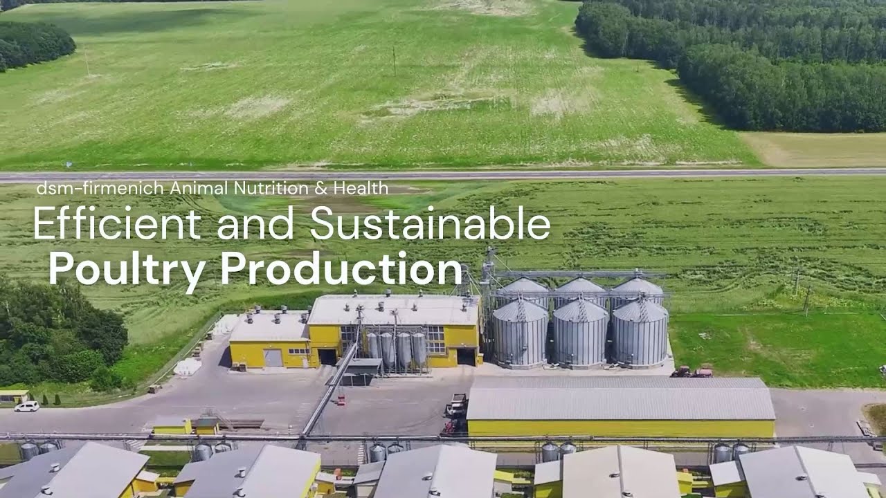 Efficient and Sustainable Poultry Production