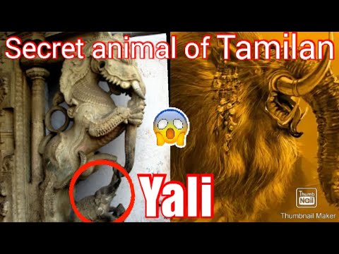 Yali - History | Info wings | Tamil | lemouria continent | kumari kandam|vyla|