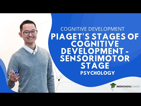 Piaget's Stages of Cognitive Development – Sensorimotor Stage Video ...