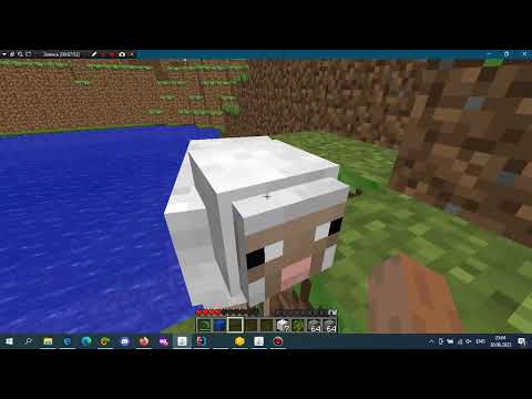 InfdevNetwork | Beta 1.7.3 Proxy testing | Failed test