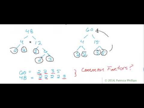 Common Factor & Greatest Common Factor (GCF)