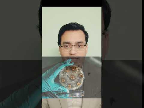 Tigecycline Injection - Tygacil Latest Price, Manufacturers & Suppliers