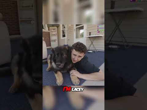 Lacy explains that he got his username “Lacy” from his childhood dog of 13 years 👀❤️