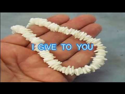 PUKA SHELLS