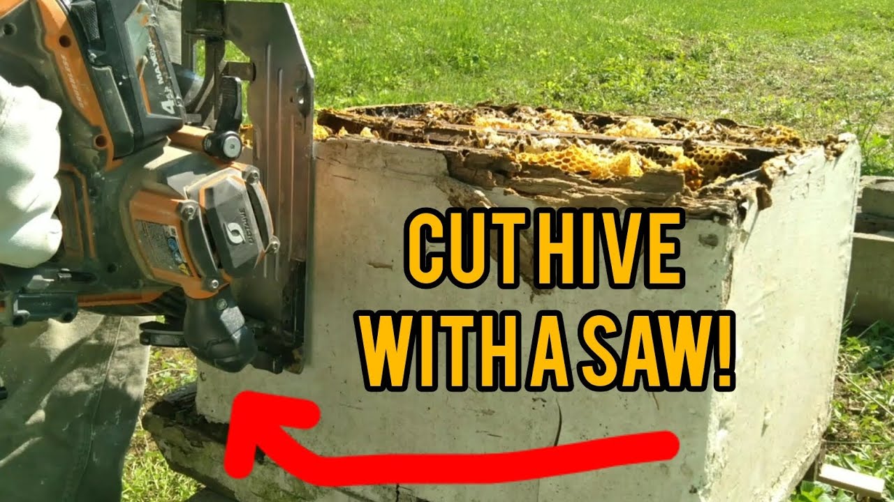 Replacing A Hive With No Frames
