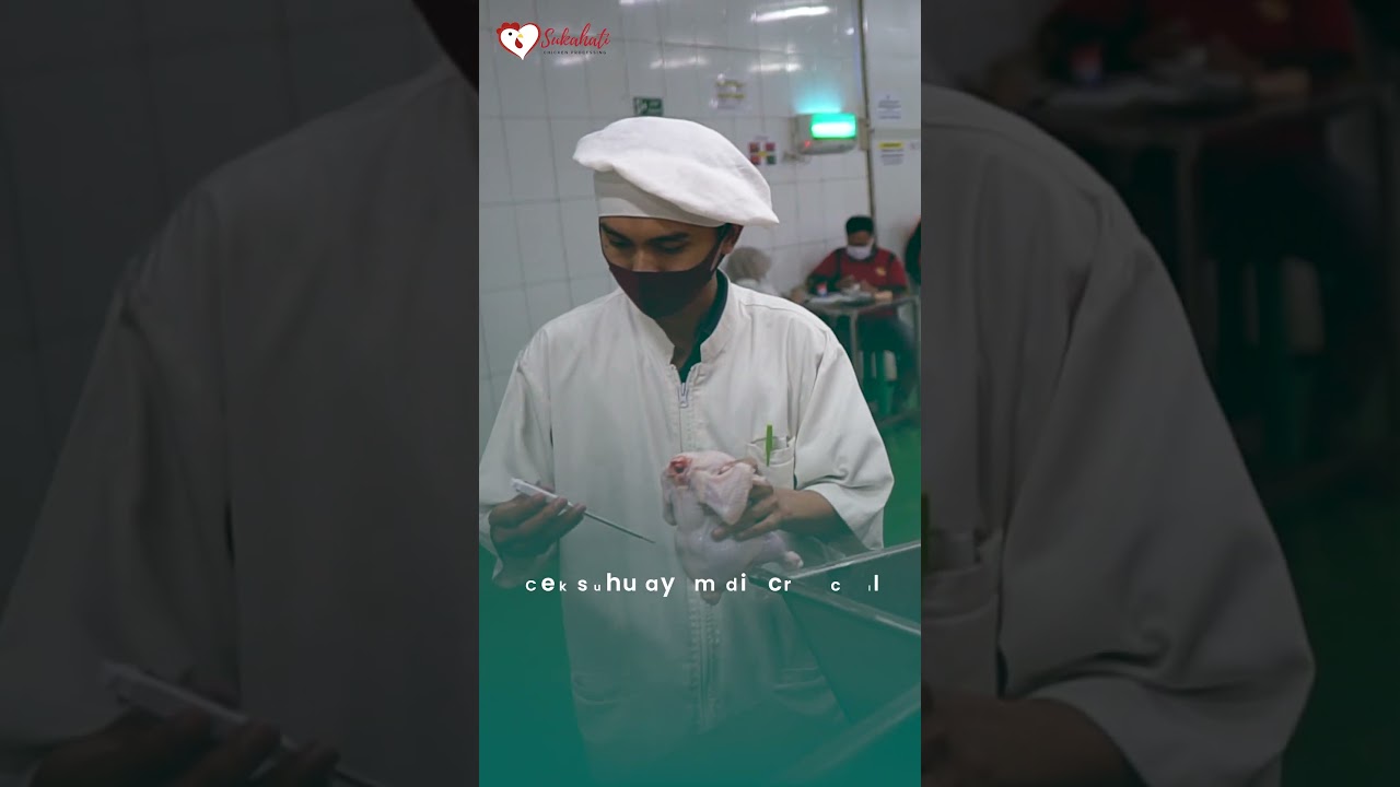 Ini Dia Proses Quality Control / QC  di RPA Sukahati #ayam