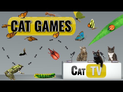 CAT Games | Ultimate Cat TV Bugs and Butterflies Compilation Vol 5 ๐ชฒ ๐๐ฆ๐ฆ๐ | Videos For Cats to Watch