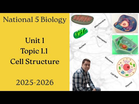 National 5 Biology – Mr White Biology