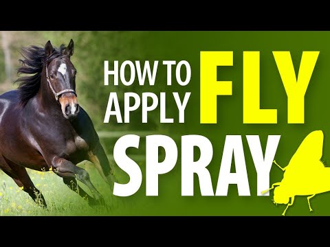 How to Apply Fly Spray to a Horse | Jeffers Equine