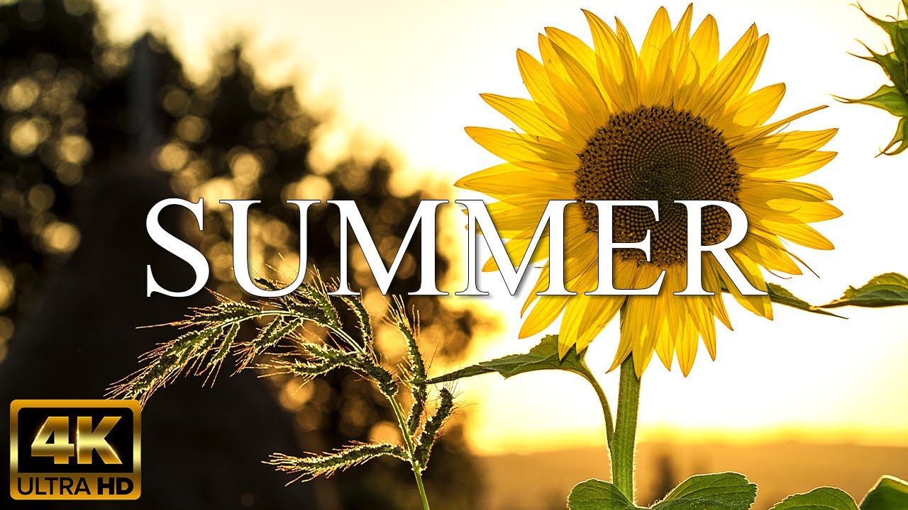 SUMMER 4K - The Relaxing Music With Fresh With Summer Scenery - (4K Video UHD)