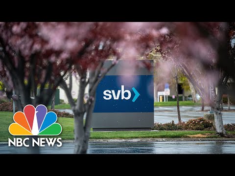 Fed should have regulated SVB better given ‘red flags,’ fmr. Treasury official says