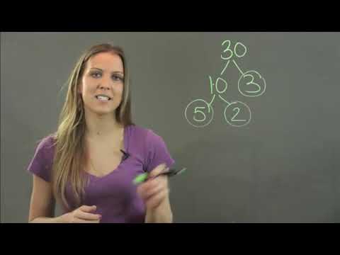 What Is the Prime Factor of the Number 30?