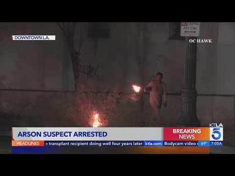 Arsonist caught on camera setting fires in downtown Los Angeles