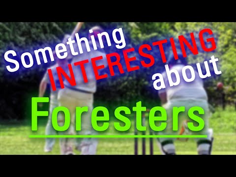What are Foresters? | How to Say Foresters in English? | How Do Foresters Look?